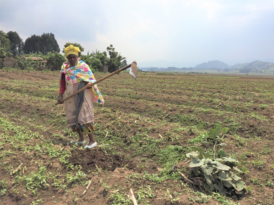 Primate Organic Farming - ImpactX